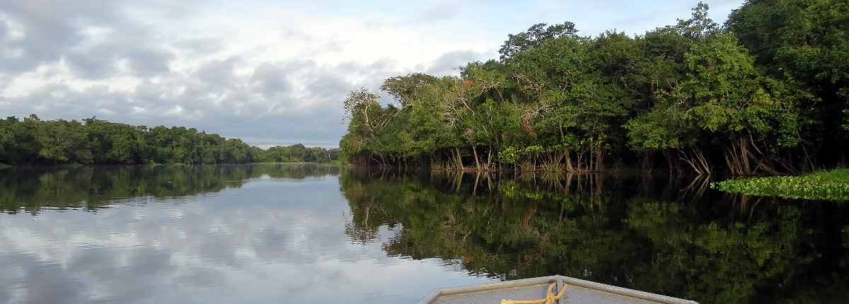Den Amazonas in Peru entdecken - Regenwald und grüne Lunge der Welt